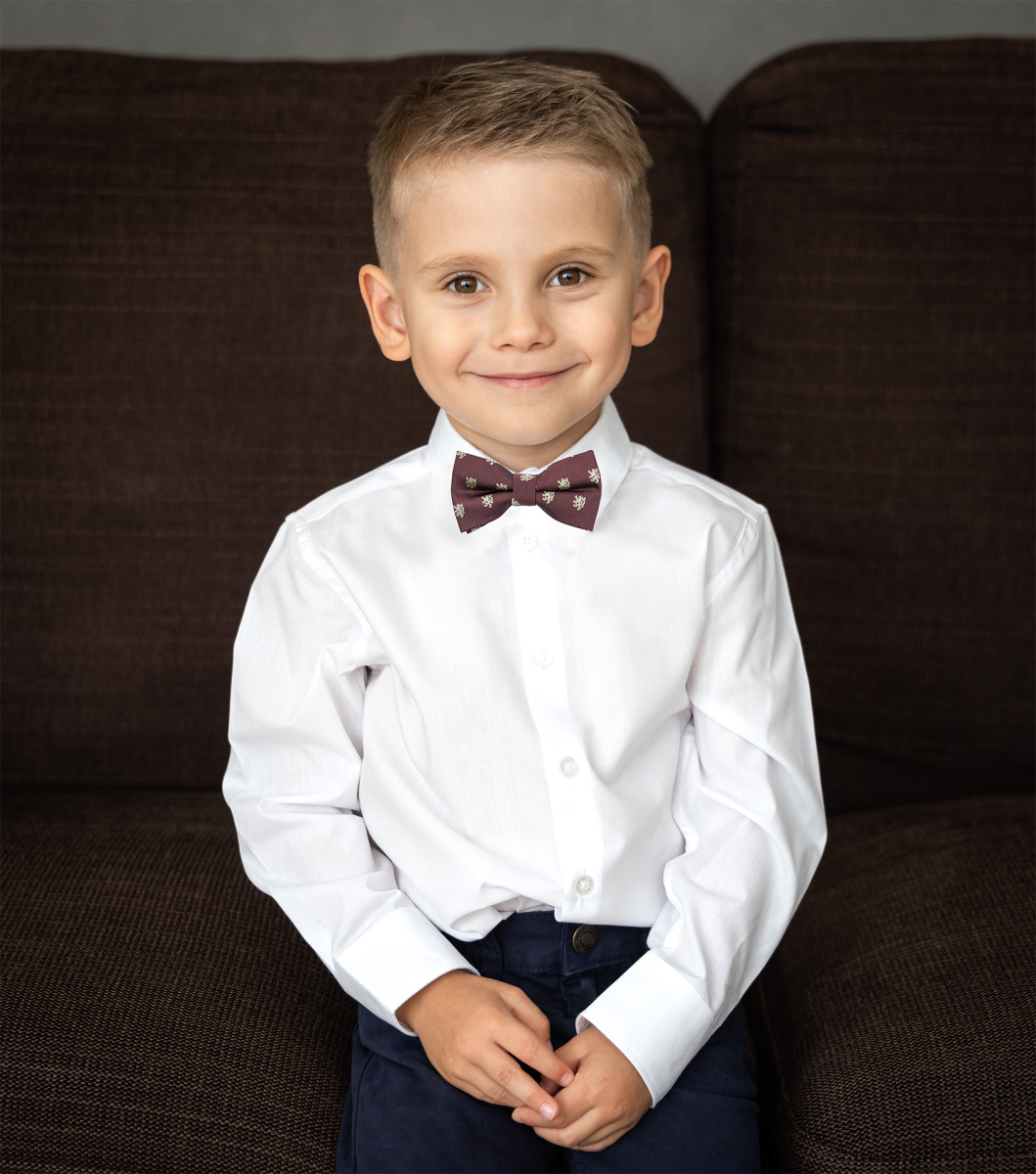 Burgundy lion kids' bow tie | bubibubi.eu