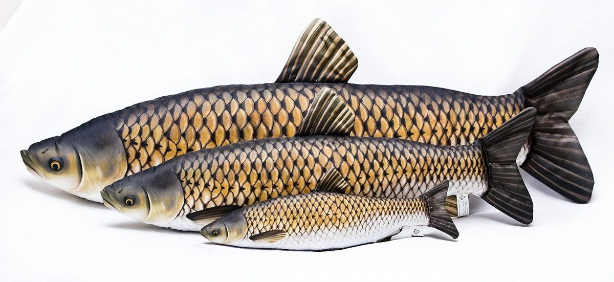 Gaby - Polštář Plyšová ryba Armur 75cm | fishmaster.cz