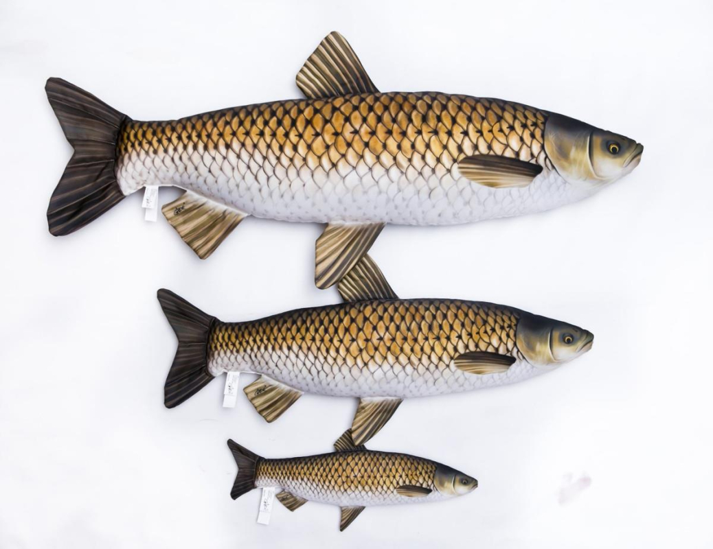 Gaby - Polštář Plyšová ryba Armur 75cm | fishmaster.cz