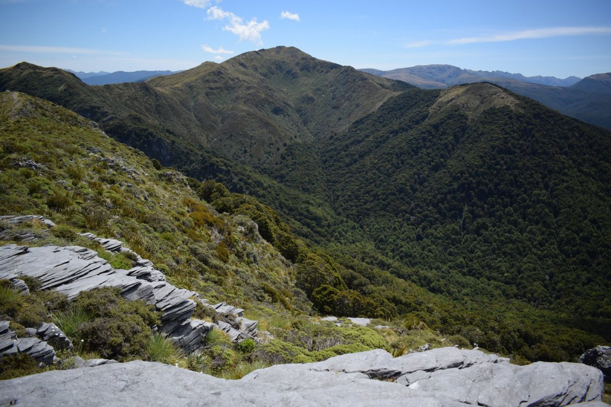 Kahurangi National Park - Mt. Arthur | výlet | Národní park | Hike ...