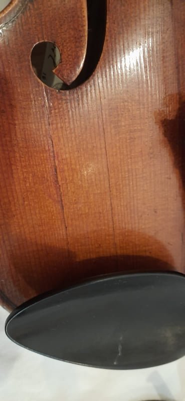 Patočka Benjamin viola 39 | Harfa.com - Hudební nástroje