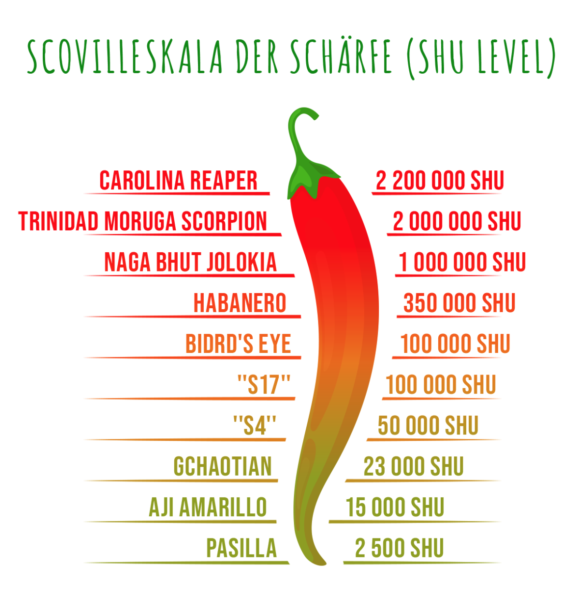 Alles, was Sie über Chili wissen wollten | Real Chilli. Real Heat.