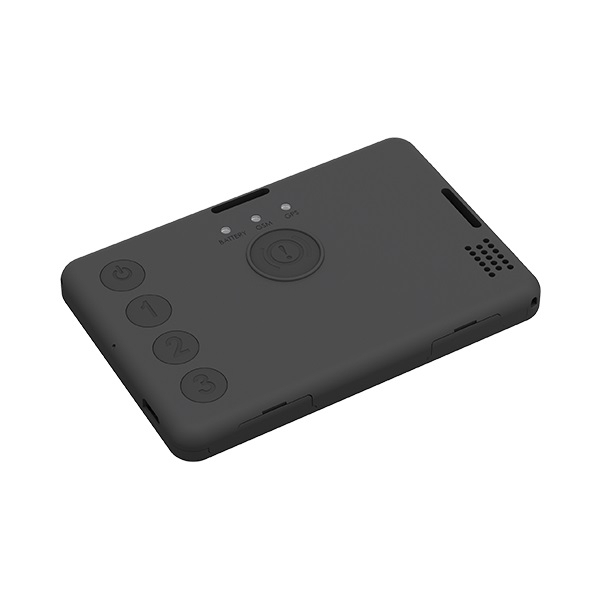 Teltonika GH5200 GPS-Ortungsgerät mit Sturzsensor zur Überwachung ...