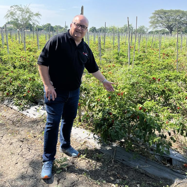 Chilli supplier for manufacturers | The Chilli Doctor